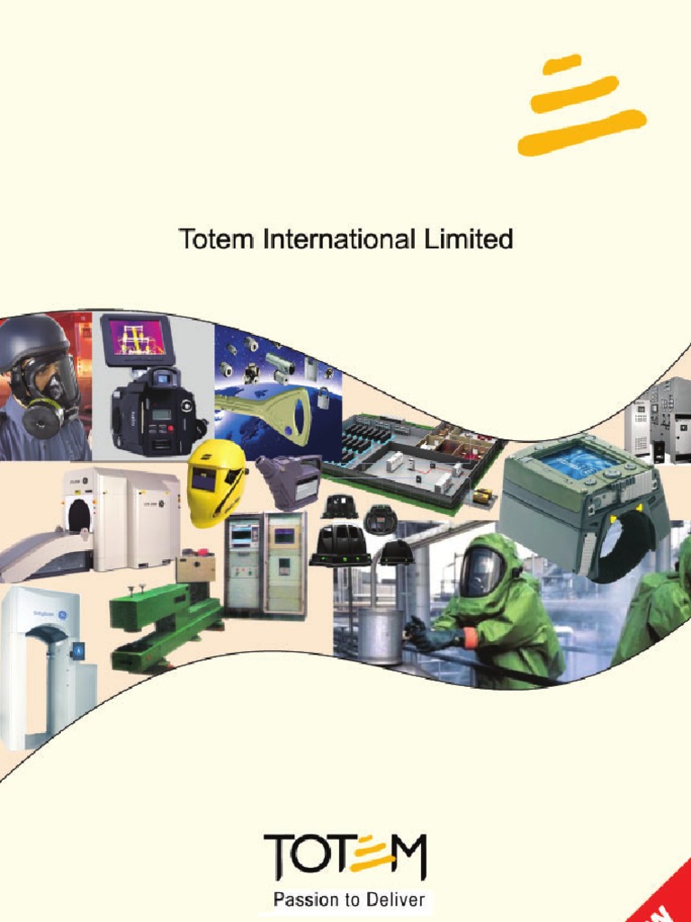 TOTEM Security | PDF | Computer Security | Security