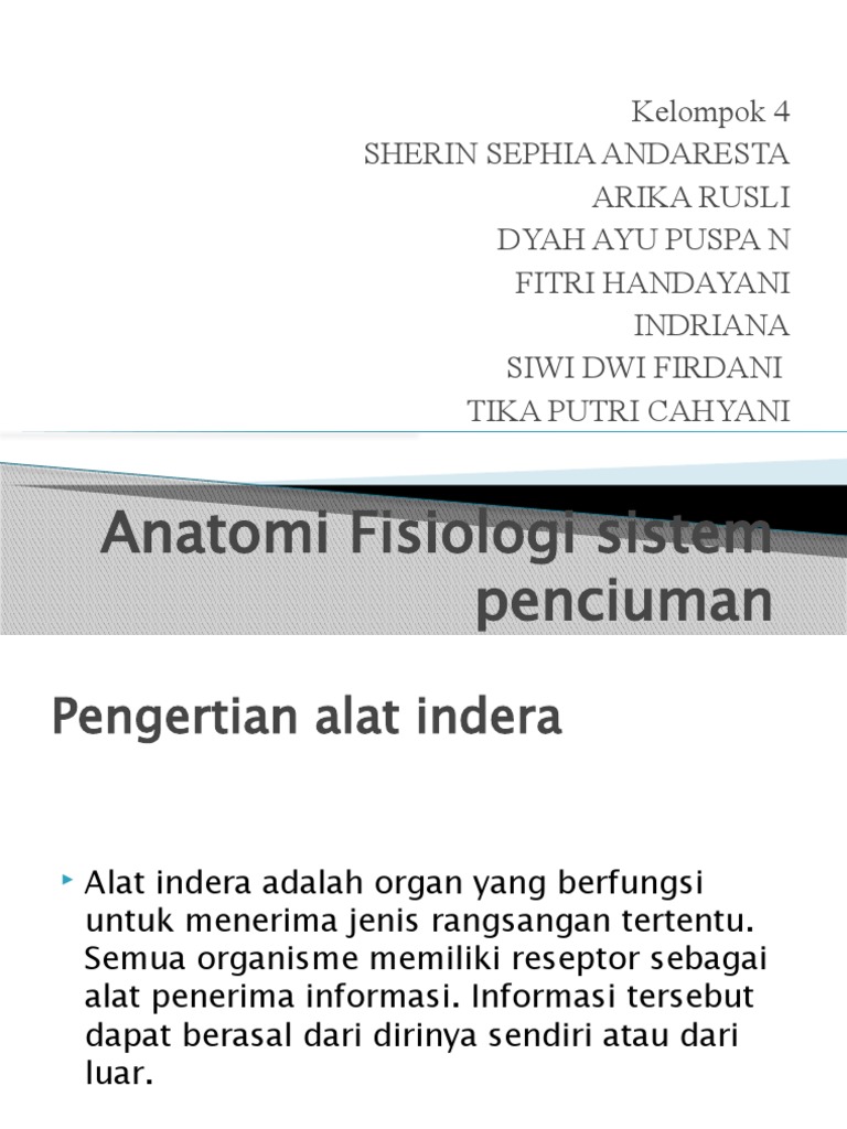 Anatomi Fisiologi Sistem Penciuman | PDF