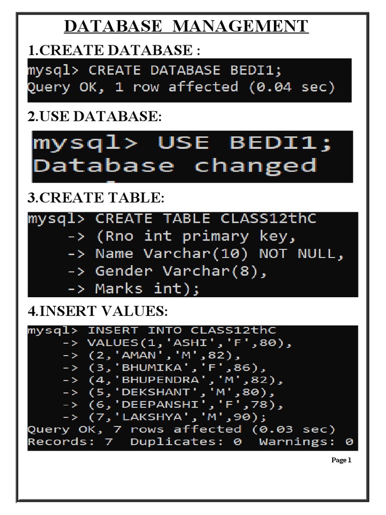 Practical File Term 2 Computer | PDF | Databases | Sql