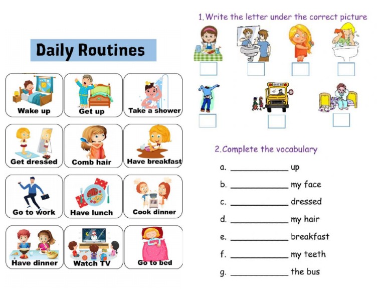 Daily Routines | PDF