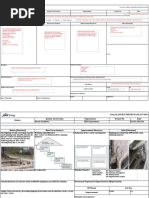 Defect Sheet Template | PDF | Nature