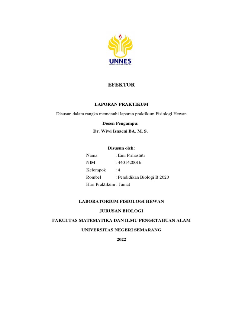 Emi Prihastuti (4401420016) - Efektor | PDF