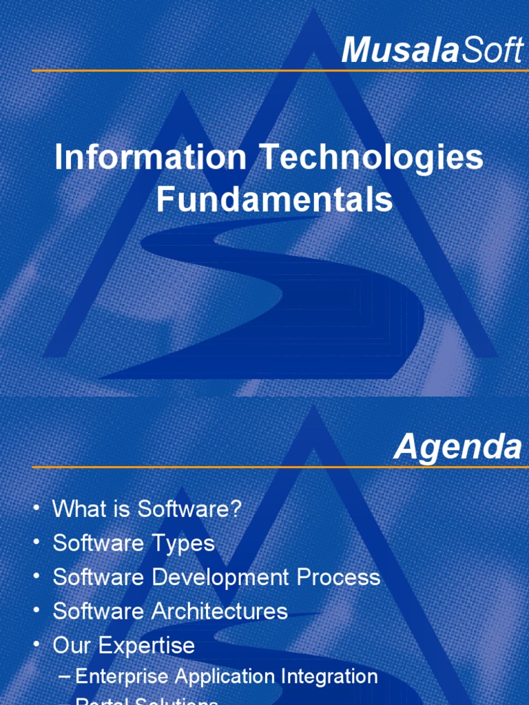 Information Technologies Fundamentals: Musalasoft | PDF | Software ...