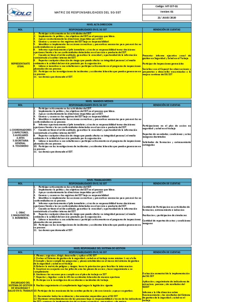 FT - SST - 017 Matriz de Funciones y Responsabilidades | PDF ...