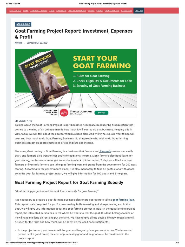Goat Farming Project Report - Investment, Expenses & Profit | PDF ...