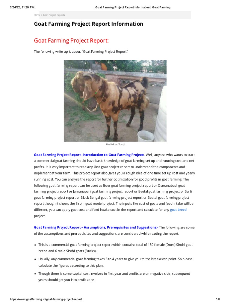 Goat Farming Project Cost Analysis | PDF | Goat | Agriculture