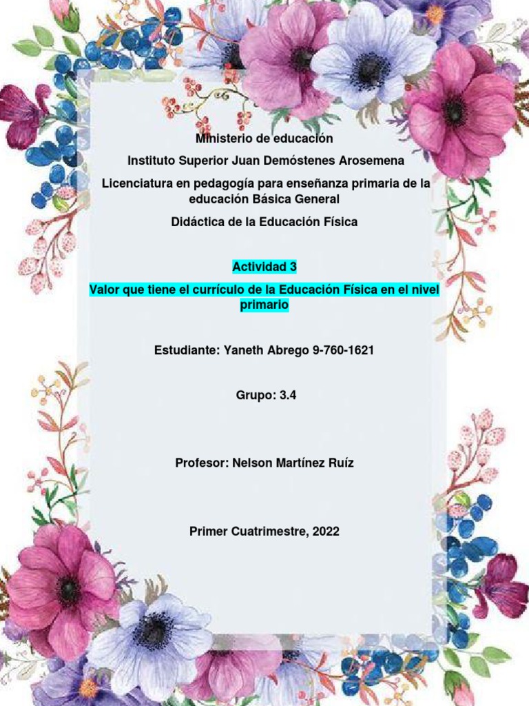 Grupo 3.4 Actividad 3 - Yaneth Ábrego | PDF