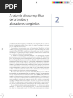 Protocolo FAST y líquido abdominal | PDF | Ultrasonido médico | Pelvis