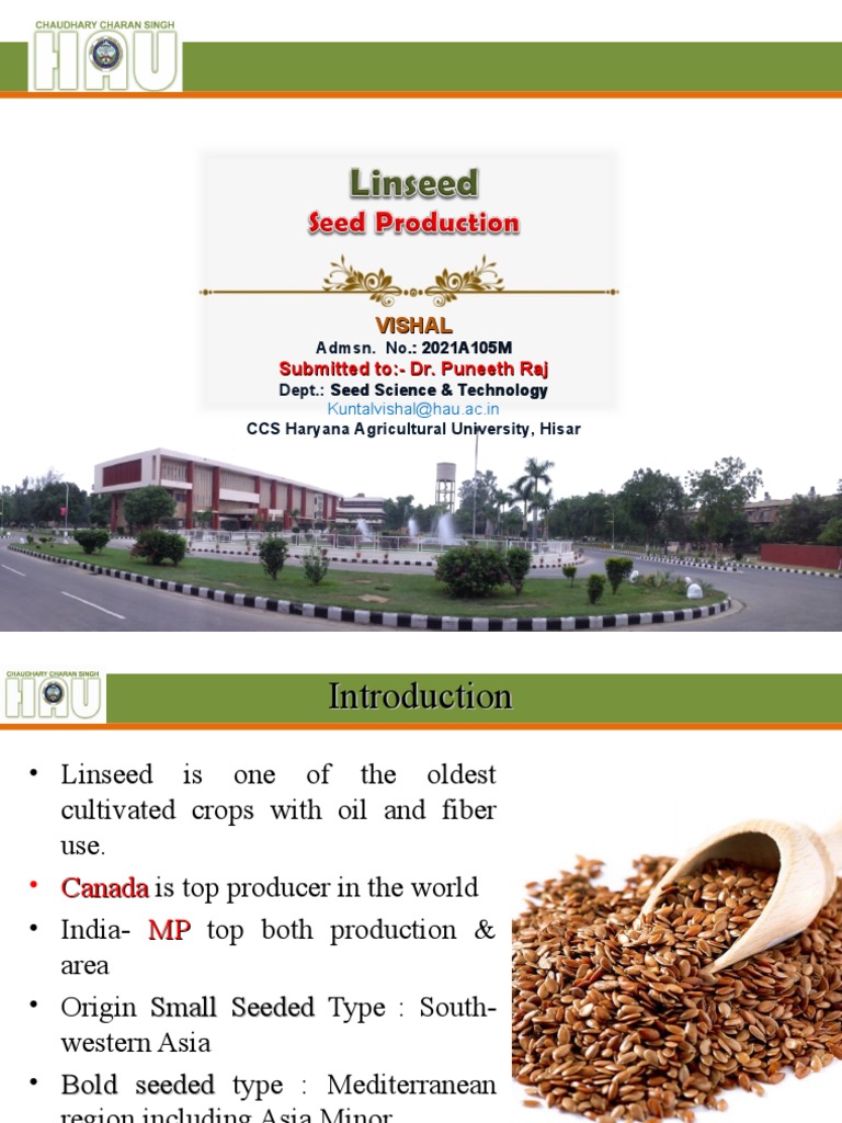 Linseed Seed Production | PDF | Flax | Plants
