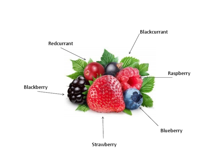 A Comparison of Popular Berry Fruits: Blackcurrant, Redcurrant ...