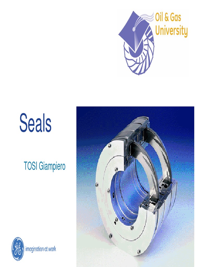 Seals Guide | PDF | Carbon | Gases