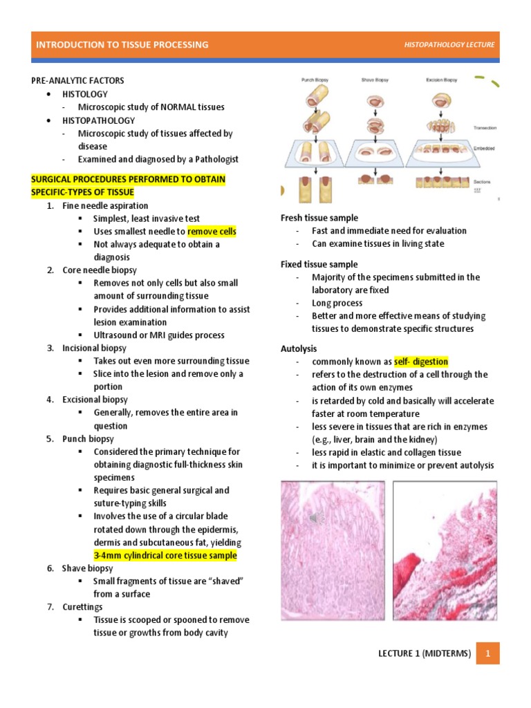 1 Introduction To Tissue Processing | PDF | Biopsy | Histopathology