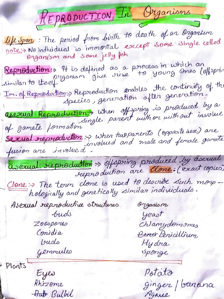 Notes of Chapter 1 Biology Class 12 (Reproduction in Organisms) | PDF ...