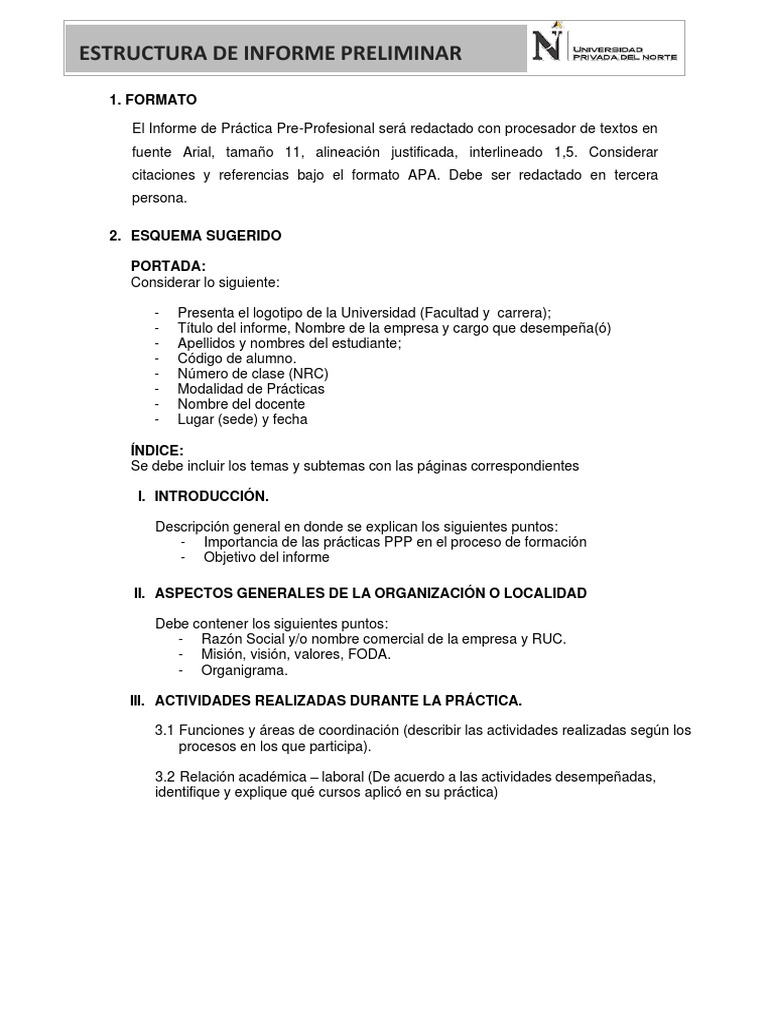 Estructura Del Informe Preliminar | PDF