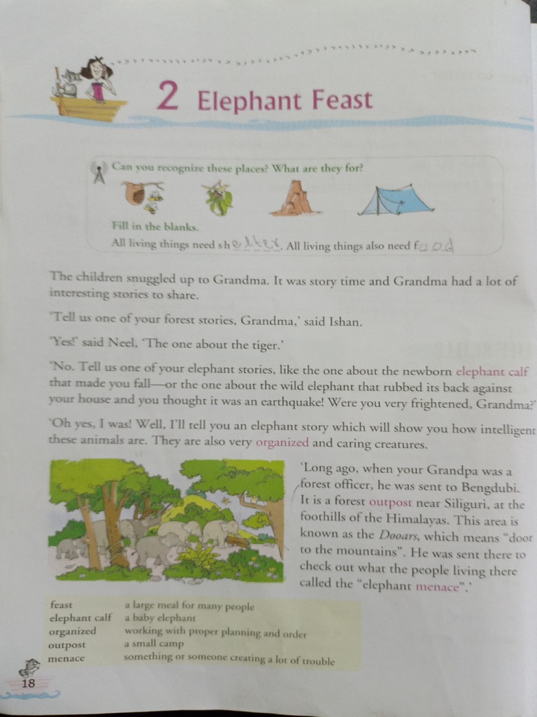 Elephant Feast-Course Book | PDF | Grammatical Gender | Plural