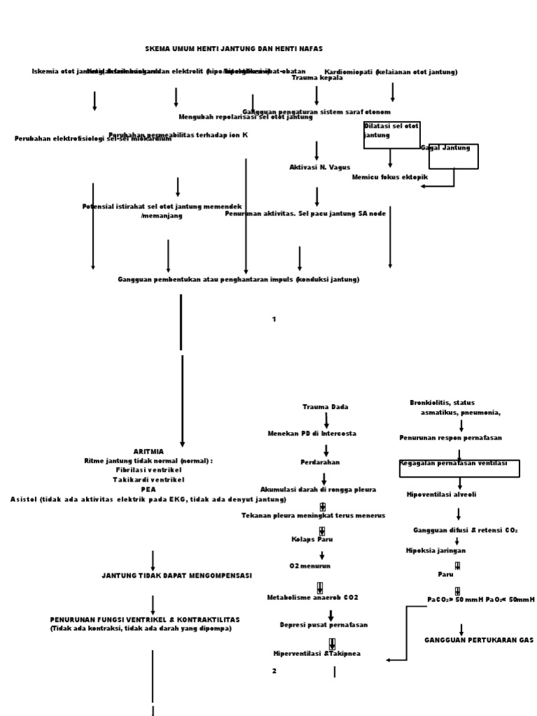 Pathway Henti Jantung | PDF