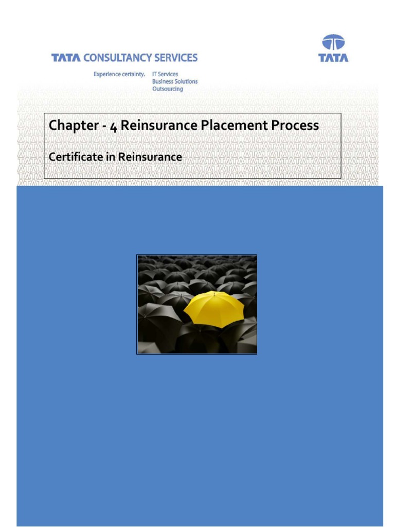 Reinsurance Placement Process Overview | PDF