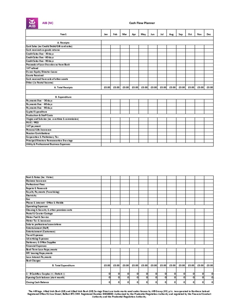 Aib (Ni) : Cash Flow Planner | PDF | Expense | Credit
