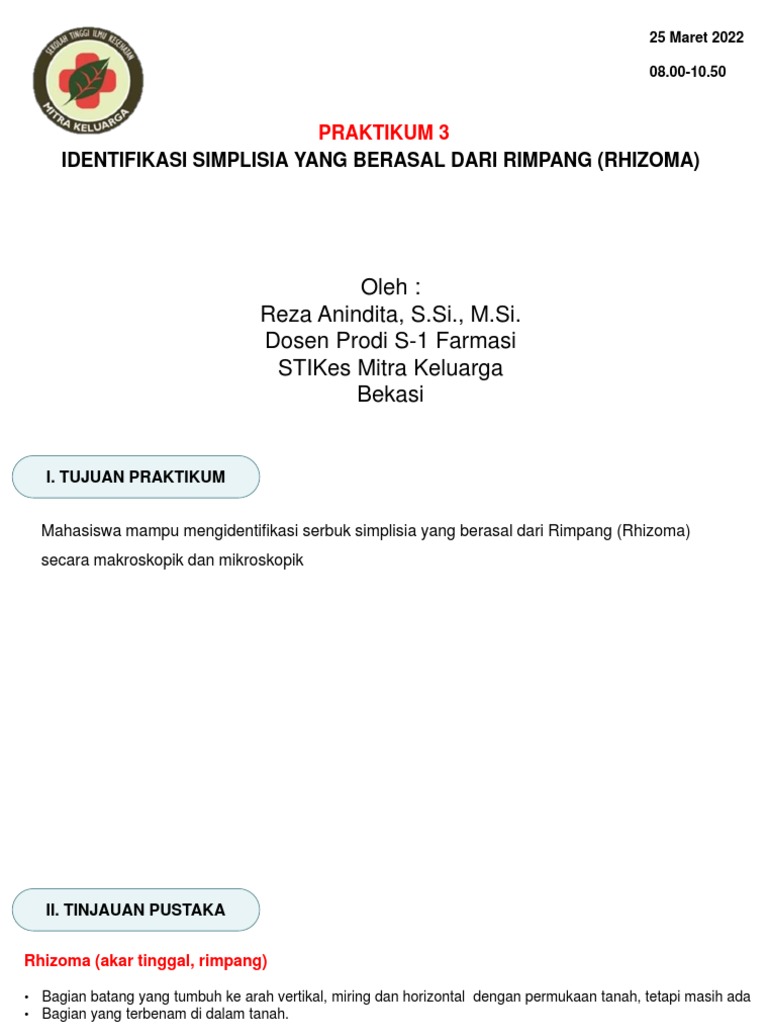 Identifikasi Simplisia yang Berasal dari Rimpang (Rhizoma) | PDF