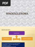 CAPÍTULO 17 - Prurigo Por Insectos (Cimiciasis) | PDF | Insecticida ...