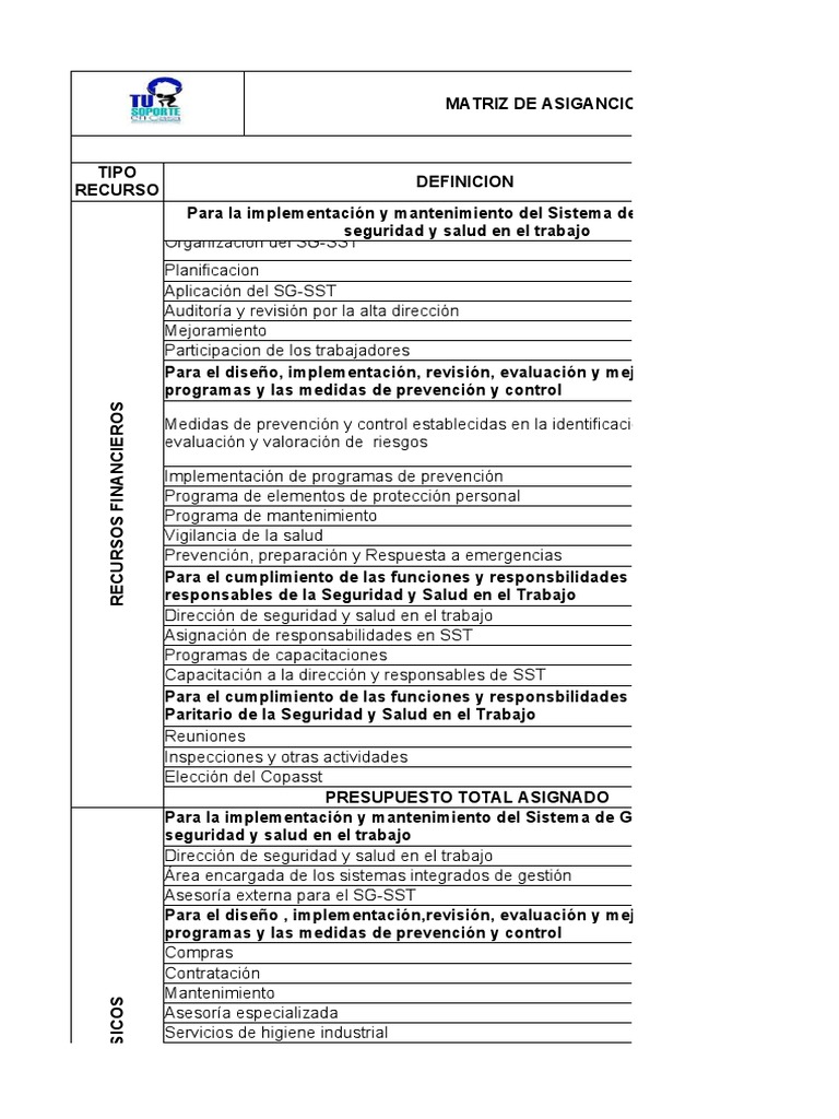 Matriz de Asignación de Recursos SG-SST | PDF | Valores | Higiene ...