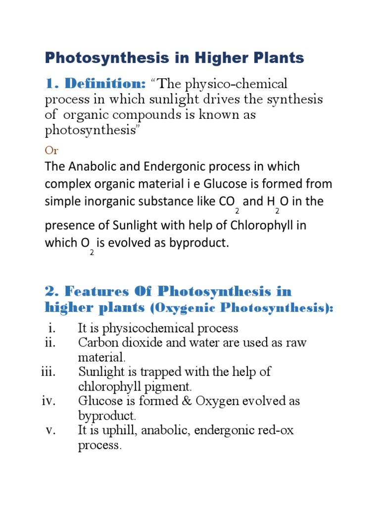 Key Features of Photosynthesis | PDF | Electron Transport Chain ...
