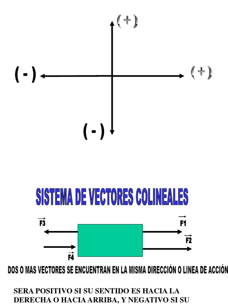 Tipos de Vectores | PDF
