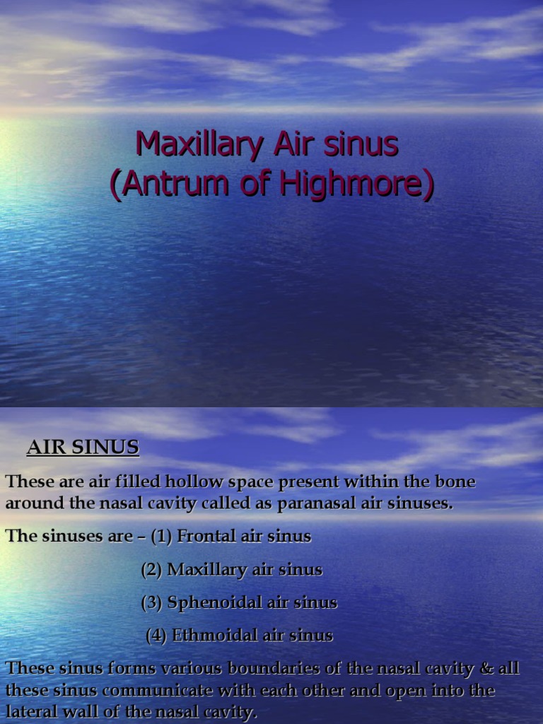 Maxillary Air Sinus (Antrum of Highmore) | PDF | Human Anatomy ...
