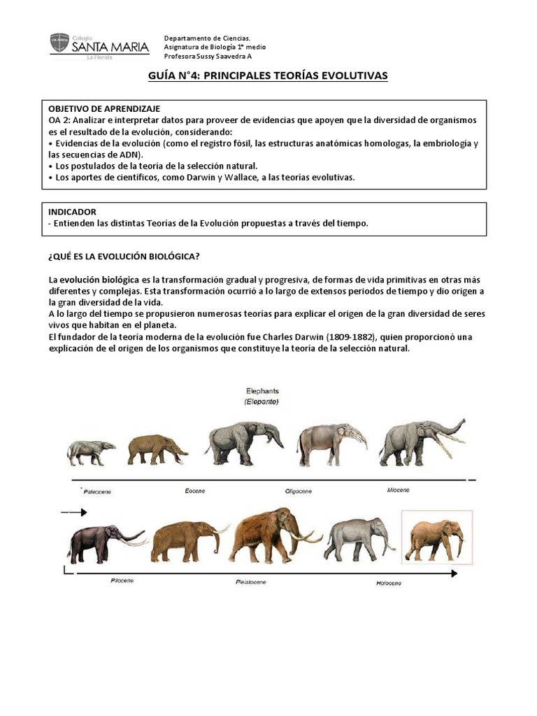 GUÍA N°4 Biología 1° Medio Profesora Sussy Saavedra | PDF | Evolución ...