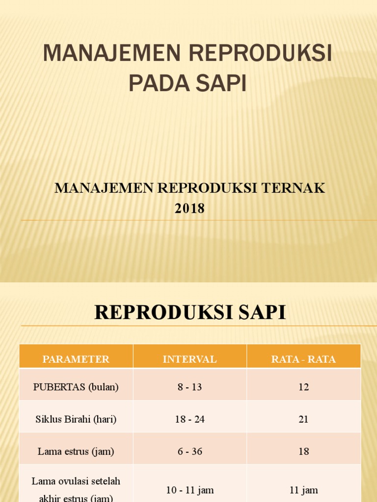 Manajemen Reproduksi Sapi Perah | PDF