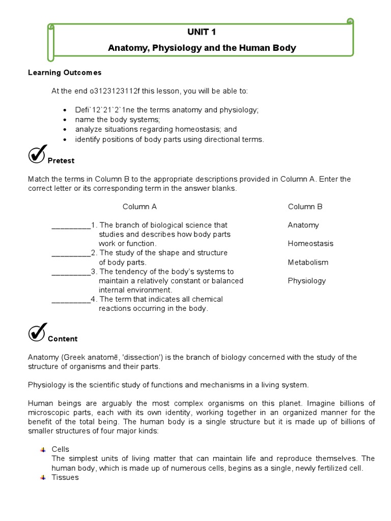 Unit 1 Anatomy, Physiology and The Human Body: Learning Outcomes | PDF ...