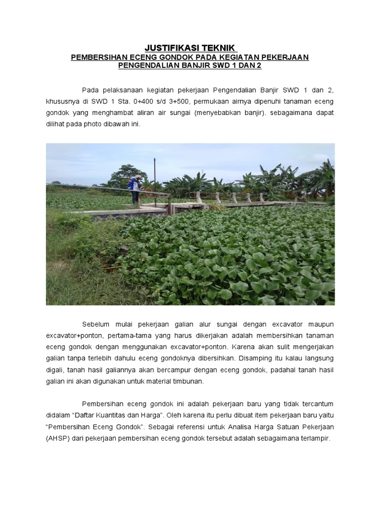 JUSTEK Eceng Gondok | PDF