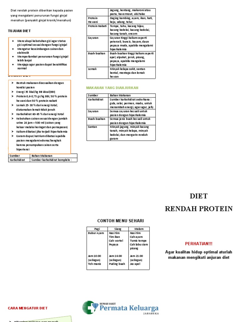 Leaflet Rendah Protein (Akreditasi) | PDF | Kesehatan Holistik