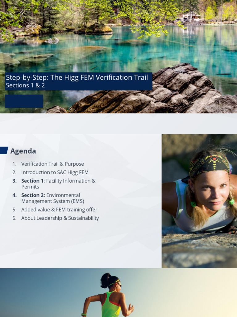 Step-by-Step: The Higg FEM Verification Trail: Sections 1 & 2 | PDF ...