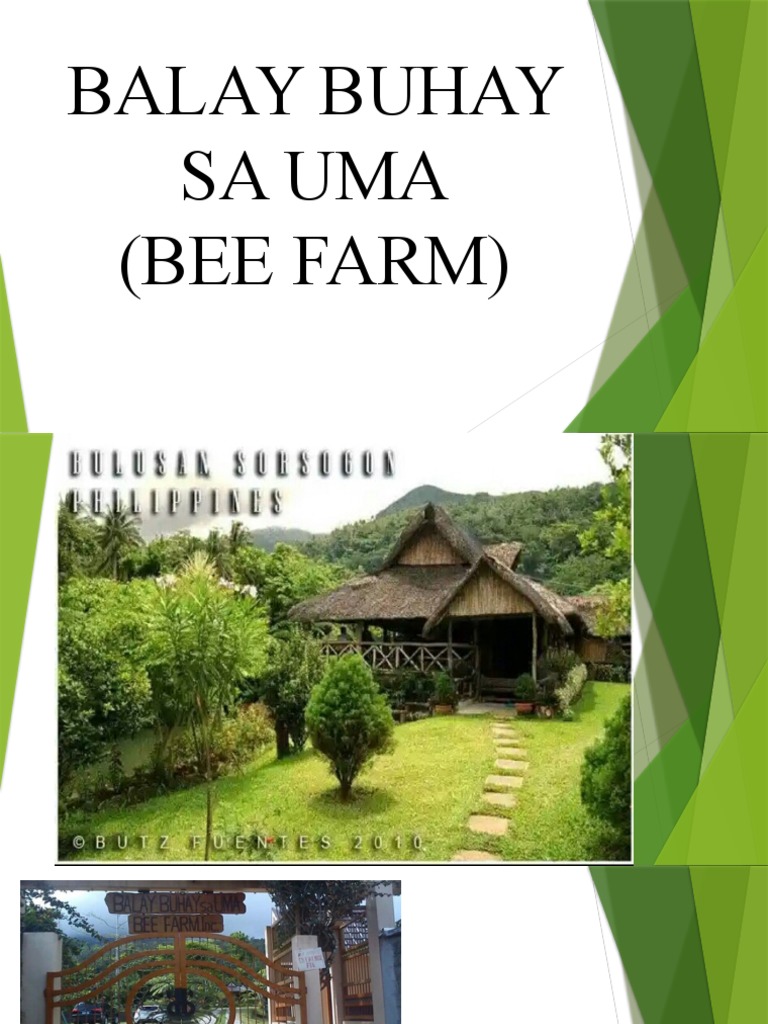 Balay Buhay Sa Uma | PDF