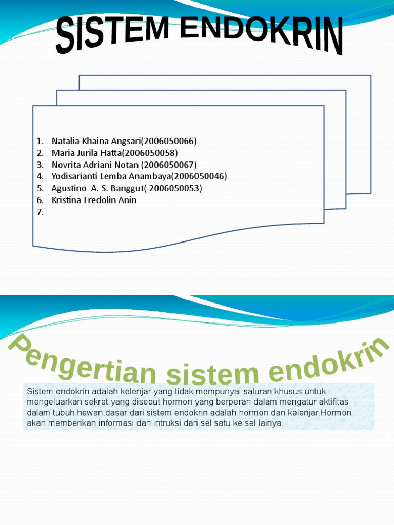 Sistem Endokrin An Pdf 