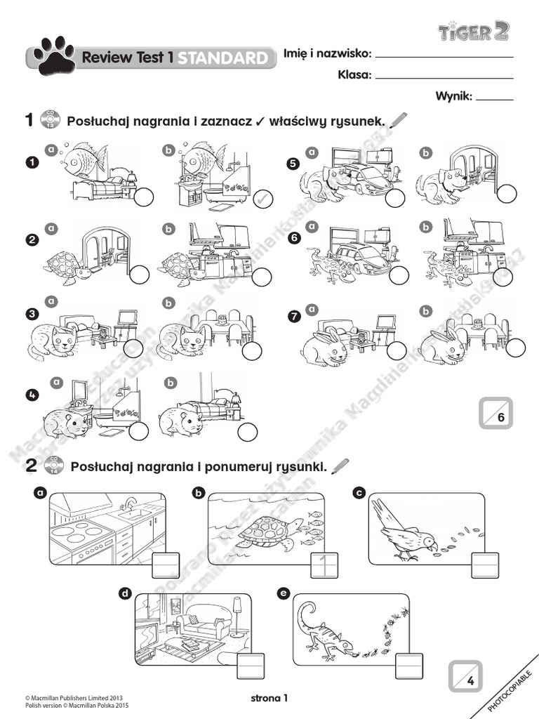 Tiger 2 Review Test 1 STANDARD | PDF