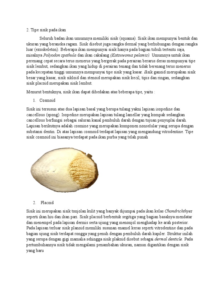 SPH 2 Tipe Sisik Ikan | PDF