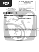 Formato Incapacidad Imss Editable Word | PDF