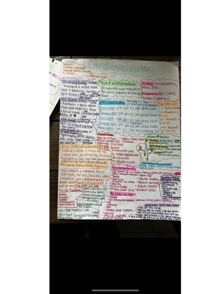 Nursing Study Guides | PDF