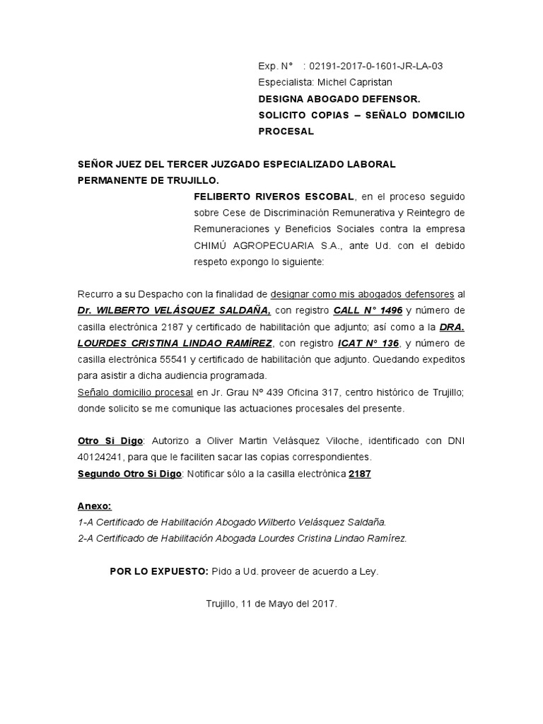 Designa Abogado Defensor | PDF