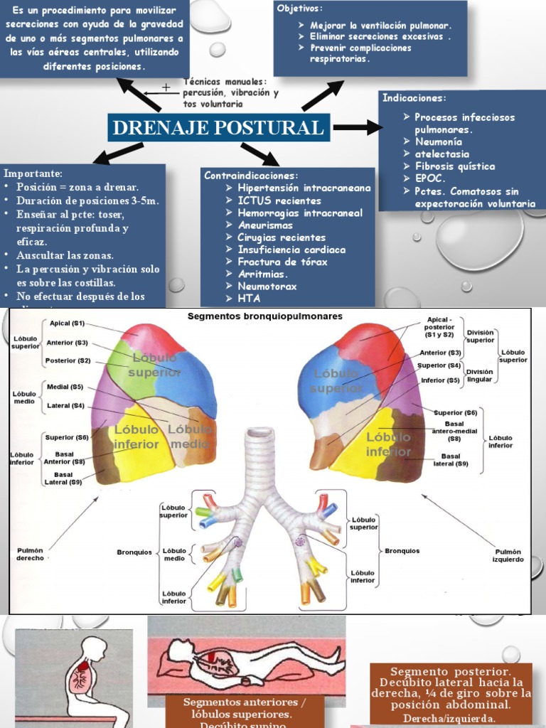 Drenaje Postural | PDF