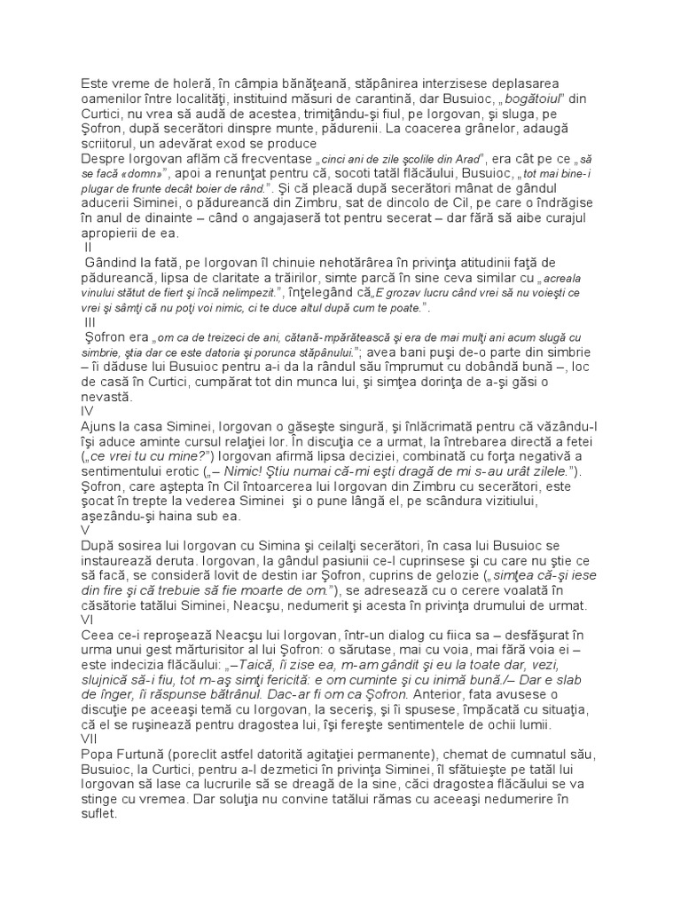 Rezumat Pădureanca | PDF