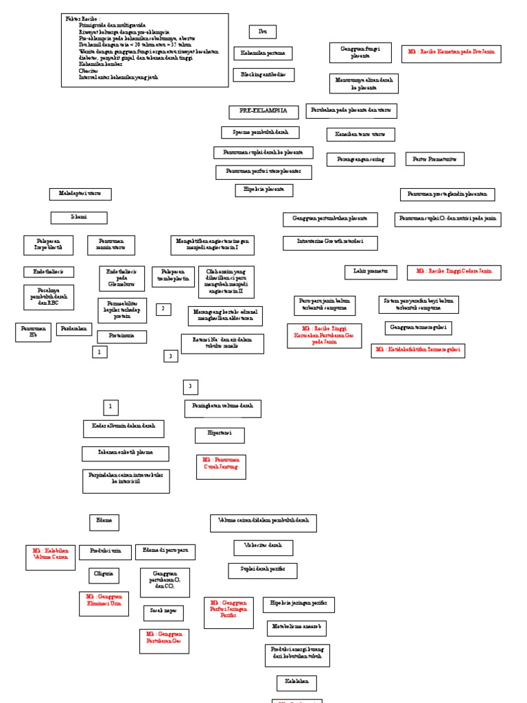 Woc Pre Eklamsi | PDF