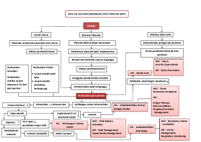 Woc Hemoragic Post Partum | PDF