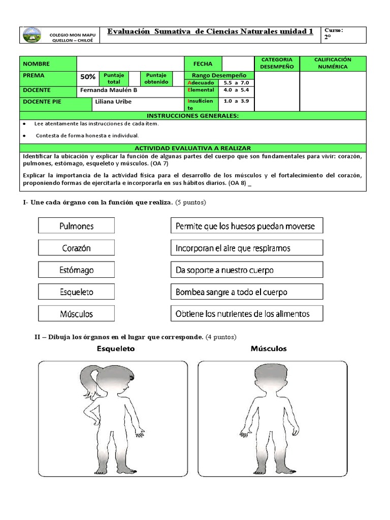 Evaluacion Cuerpo Humano 2 Basico | PDF | Anatomía | Zoología