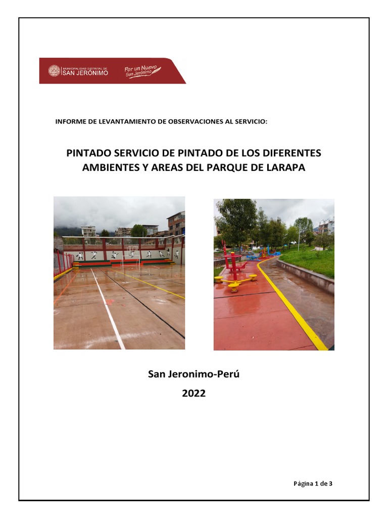 Informe de Levantamiento de Observaciones | PDF