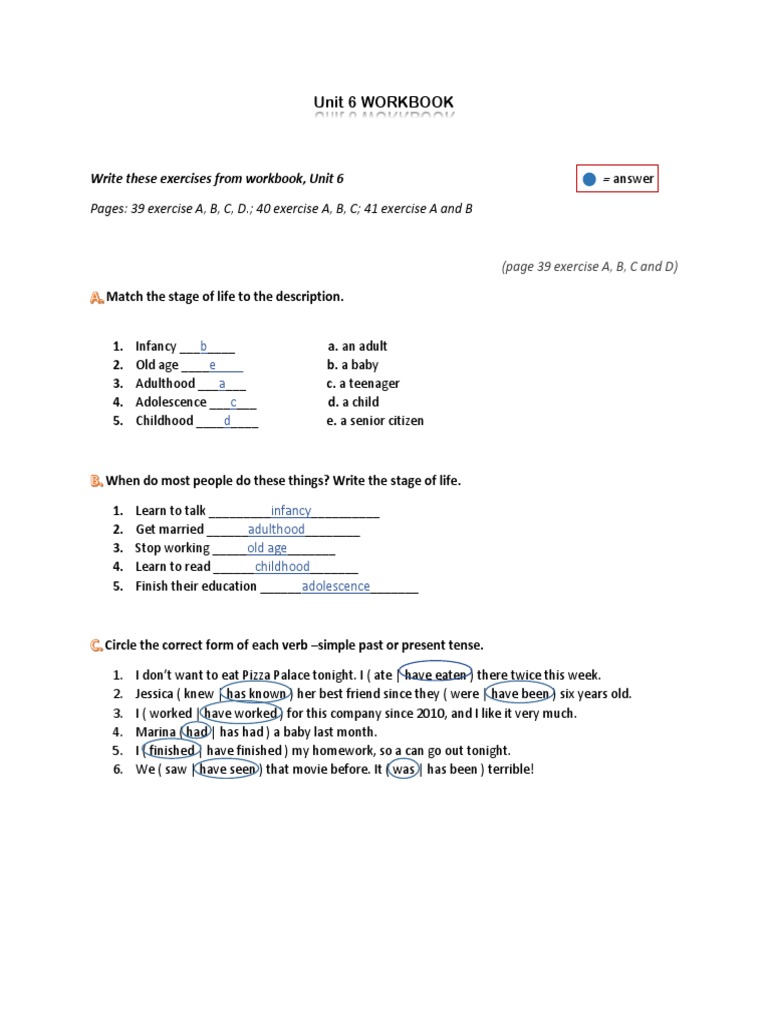 Unit 6 WORKBOOK | PDF