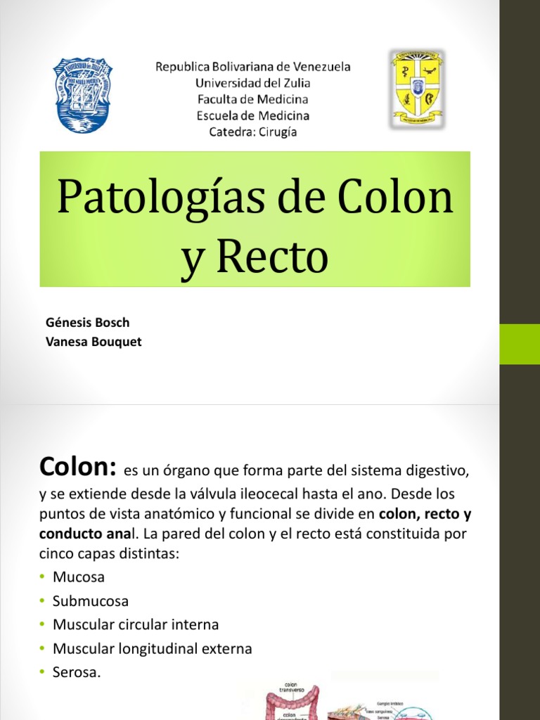 Patologias de Colon | PDF | Cáncer colonrectal | Intestino grueso