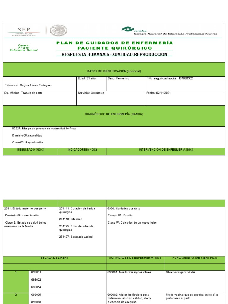 Place Embarazo 00207 | PDF | Periodo posparto | Parto